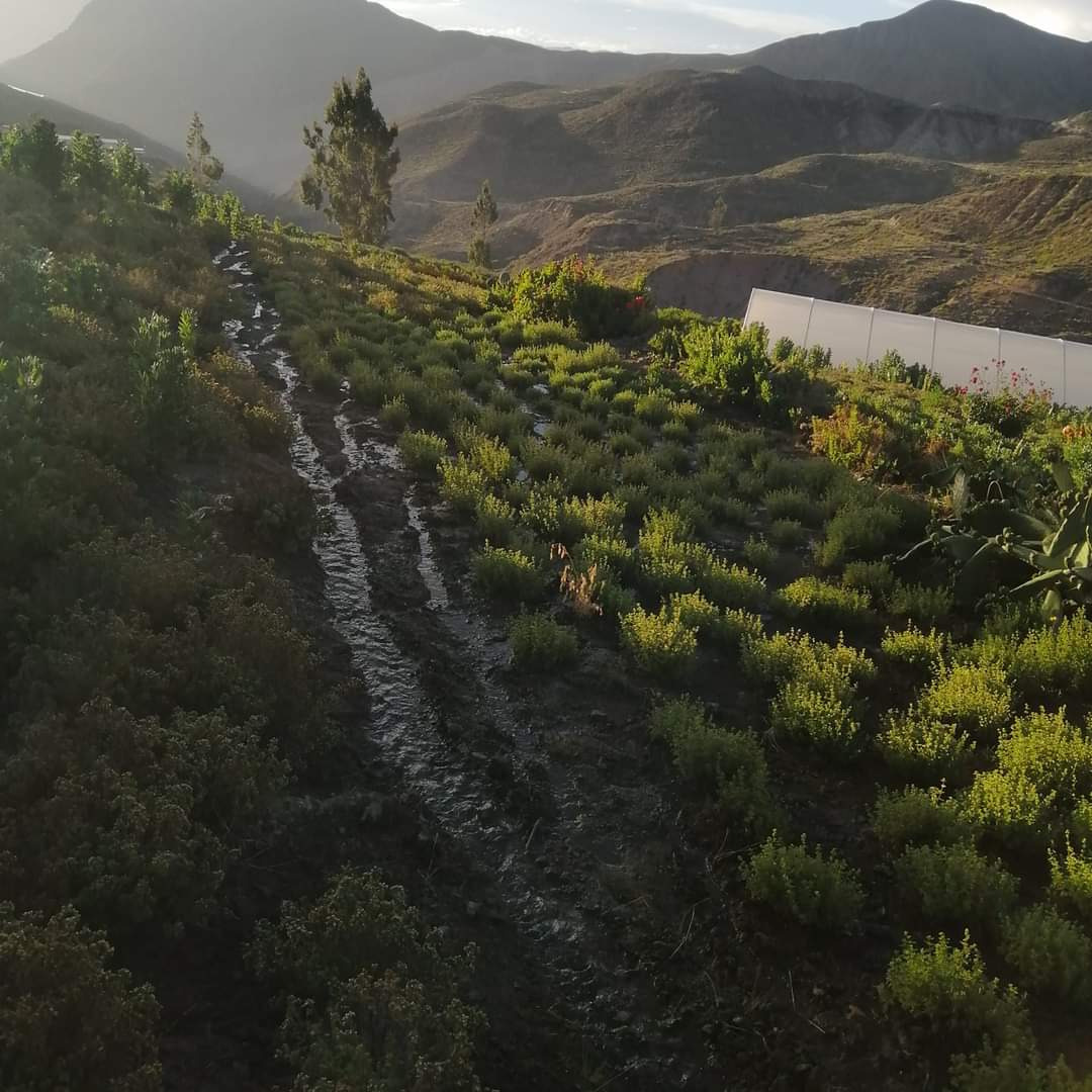 Amarka Lodge Socoroma