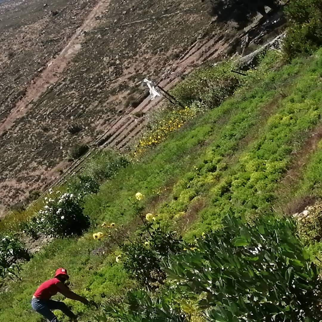 Amarka Lodge Socoroma